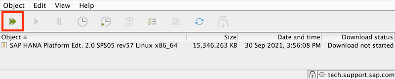 Sap download manager download - togovast